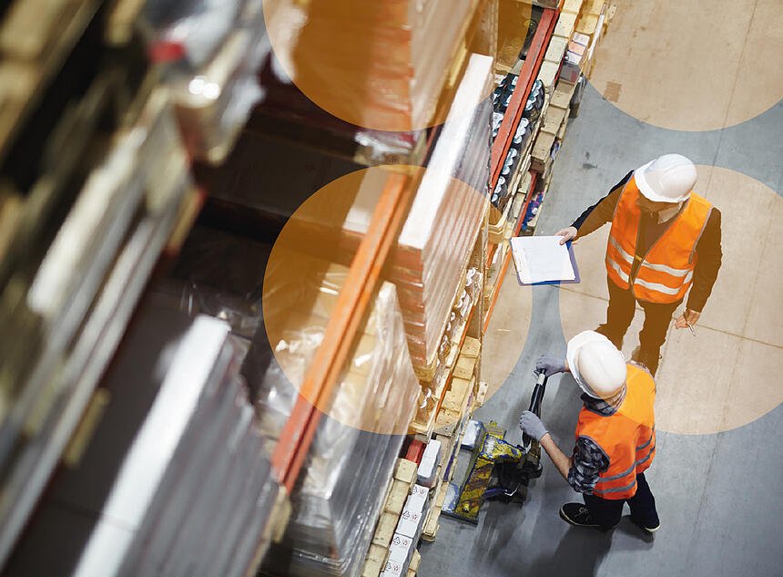 FM Logistic - SAP Support services